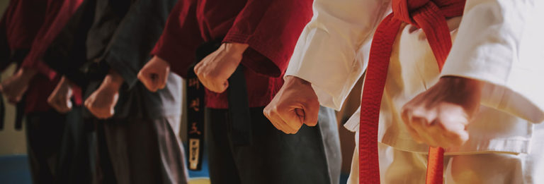 Fesik - Federazione Educativa Sportiva Italiana Karate