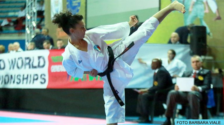 Fesik - Federazione Educativa Sportiva Italiana Karate