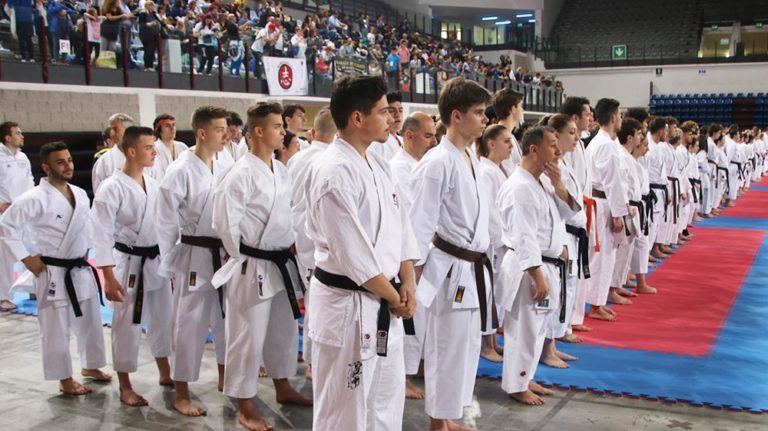 Fesik - Federazione Educativa Sportiva Italiana Karate