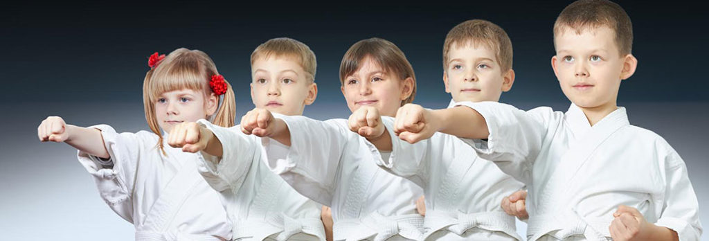 Fesik - Federazione Educativa Sportiva Italiana Karate